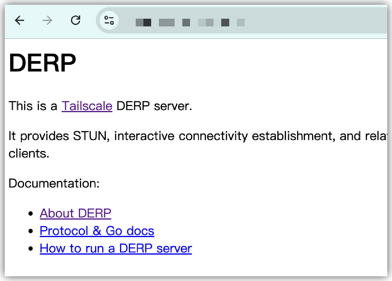 TailScale 自建 derper 中继服务器 caddy+docker快速配置 · Zhitao's Blog