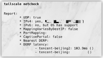 TailScale 自建 derper 中继服务器 caddy+docker快速配置 · Zhitao's Blog